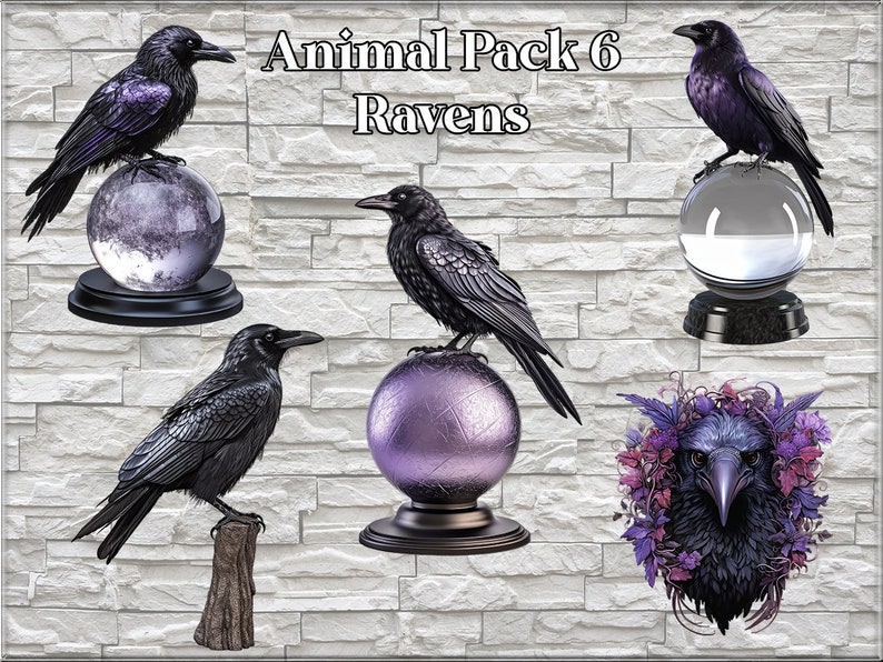 10 Transparent Ravens Digital Art - Etsy