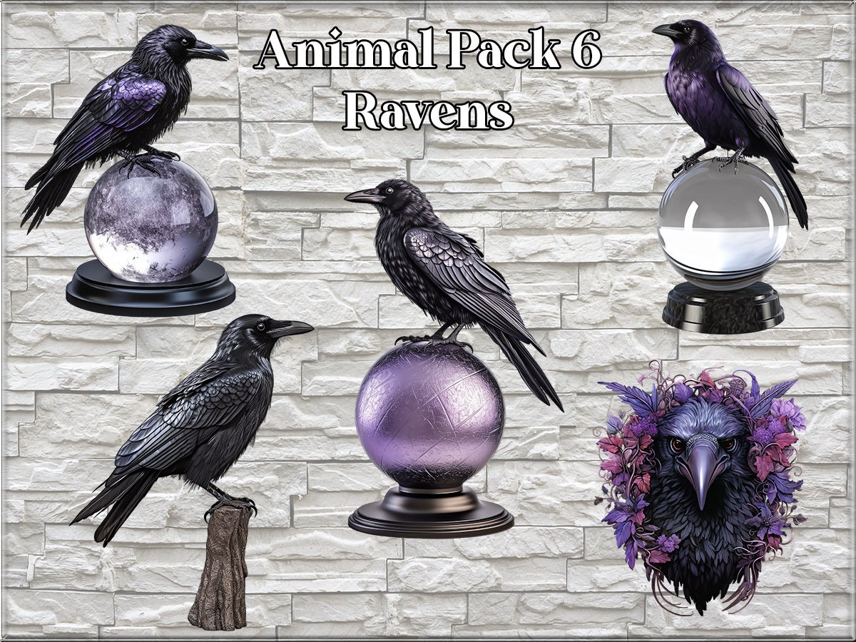 10 Transparent Ravens Digital Art - Etsy