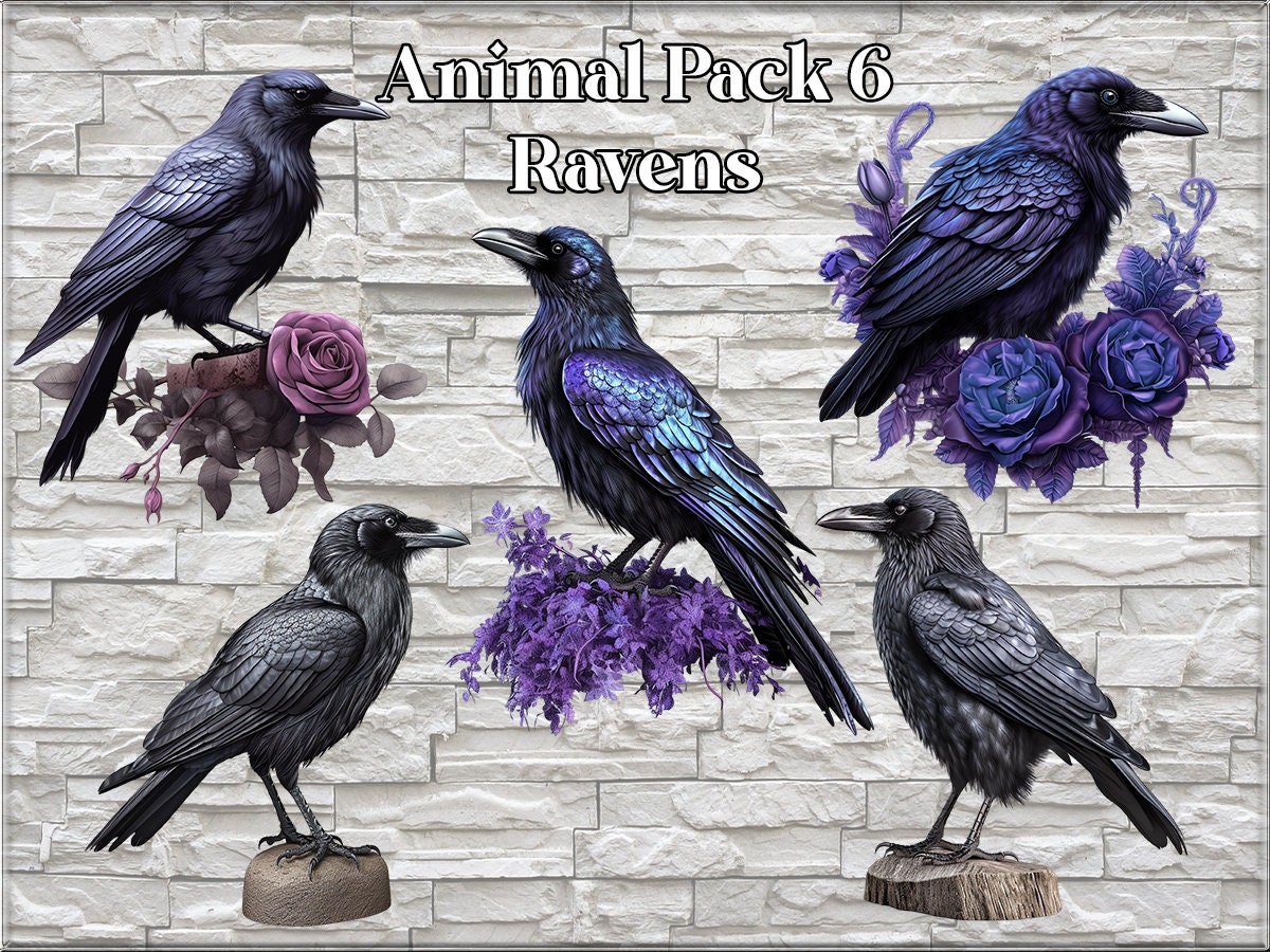 10 Transparent Ravens Digital Art - Etsy