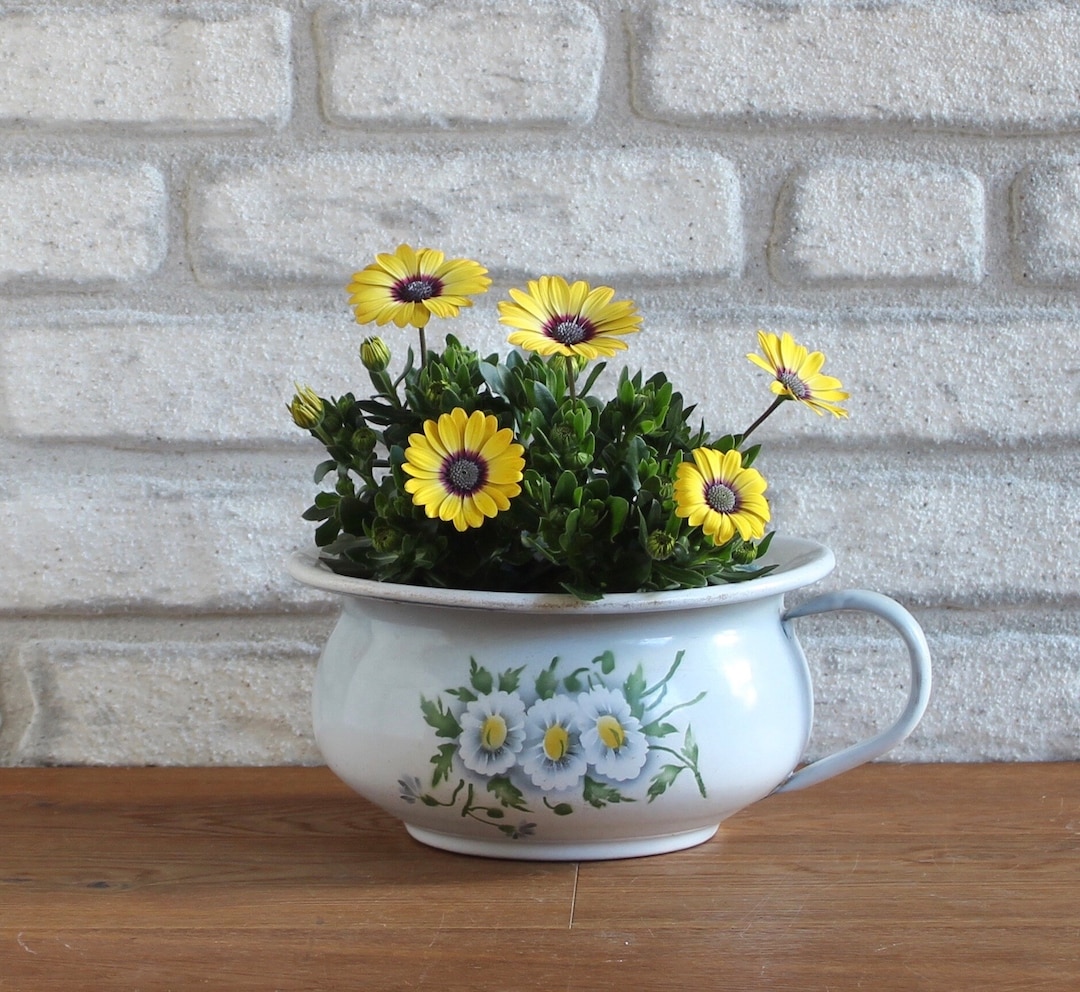 Antique Enamel Chamber Pot, Potty | White Floral Enamelware | Vintage ...