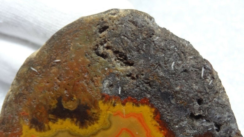 1904-10 Unpolished Rough Agate / Achat Nodule Specimen | Etsy