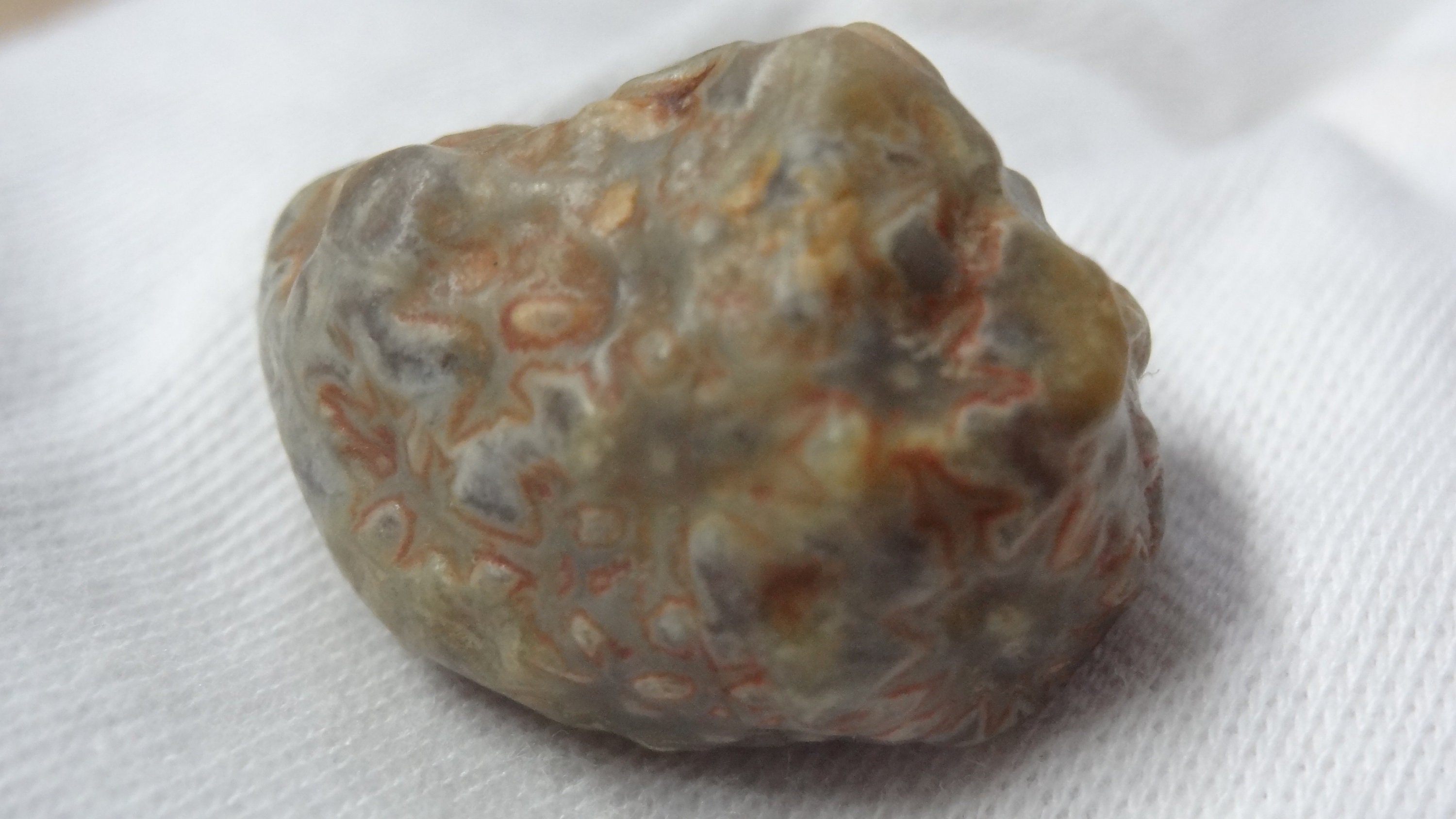 G410 Gobi Stone Mongolian Bonsai Suiseki Natural | Etsy