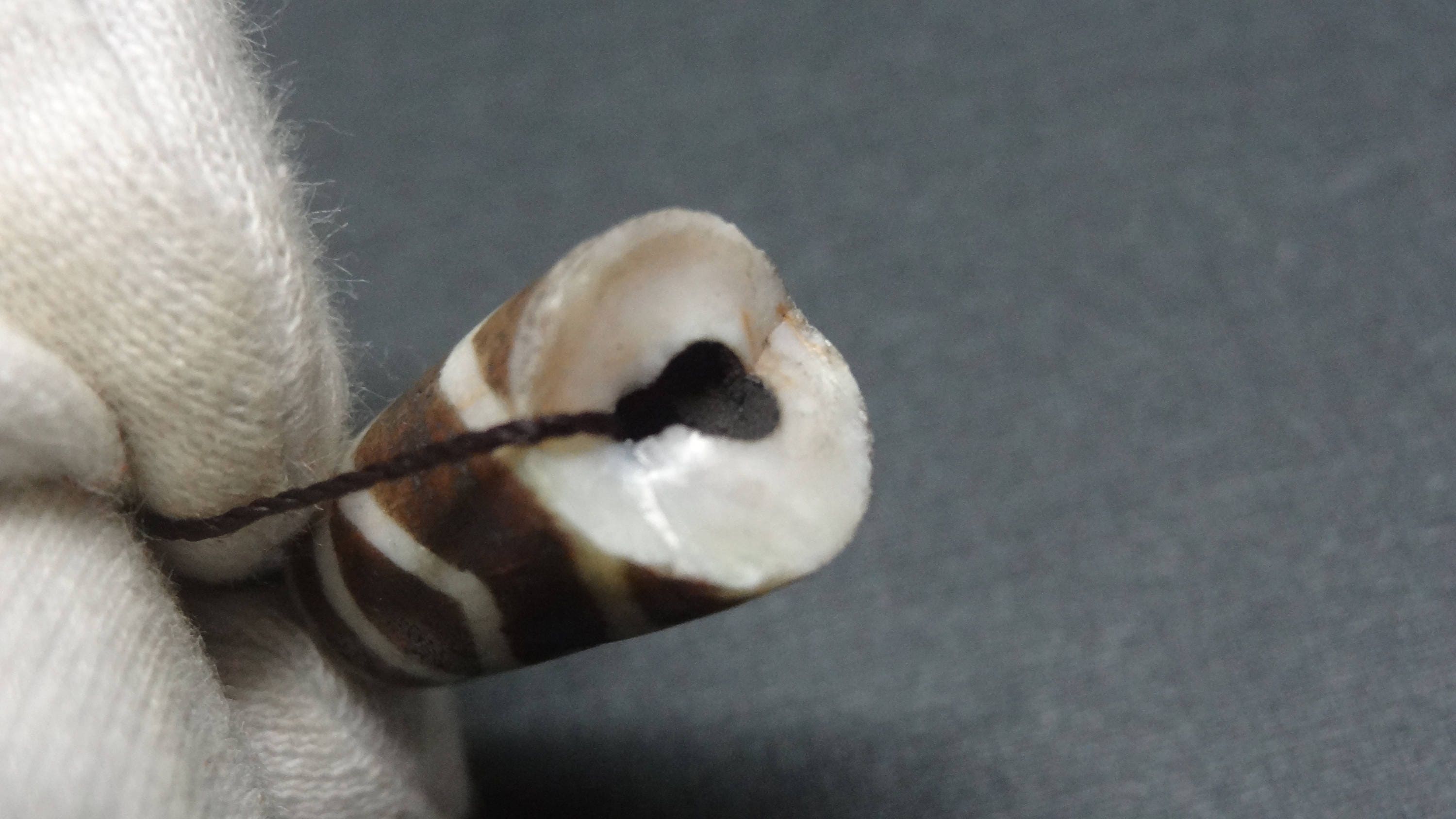 PB006 Pumtek Pyu Bead Tube Two 2 Striped Tiger Tooth - Etsy