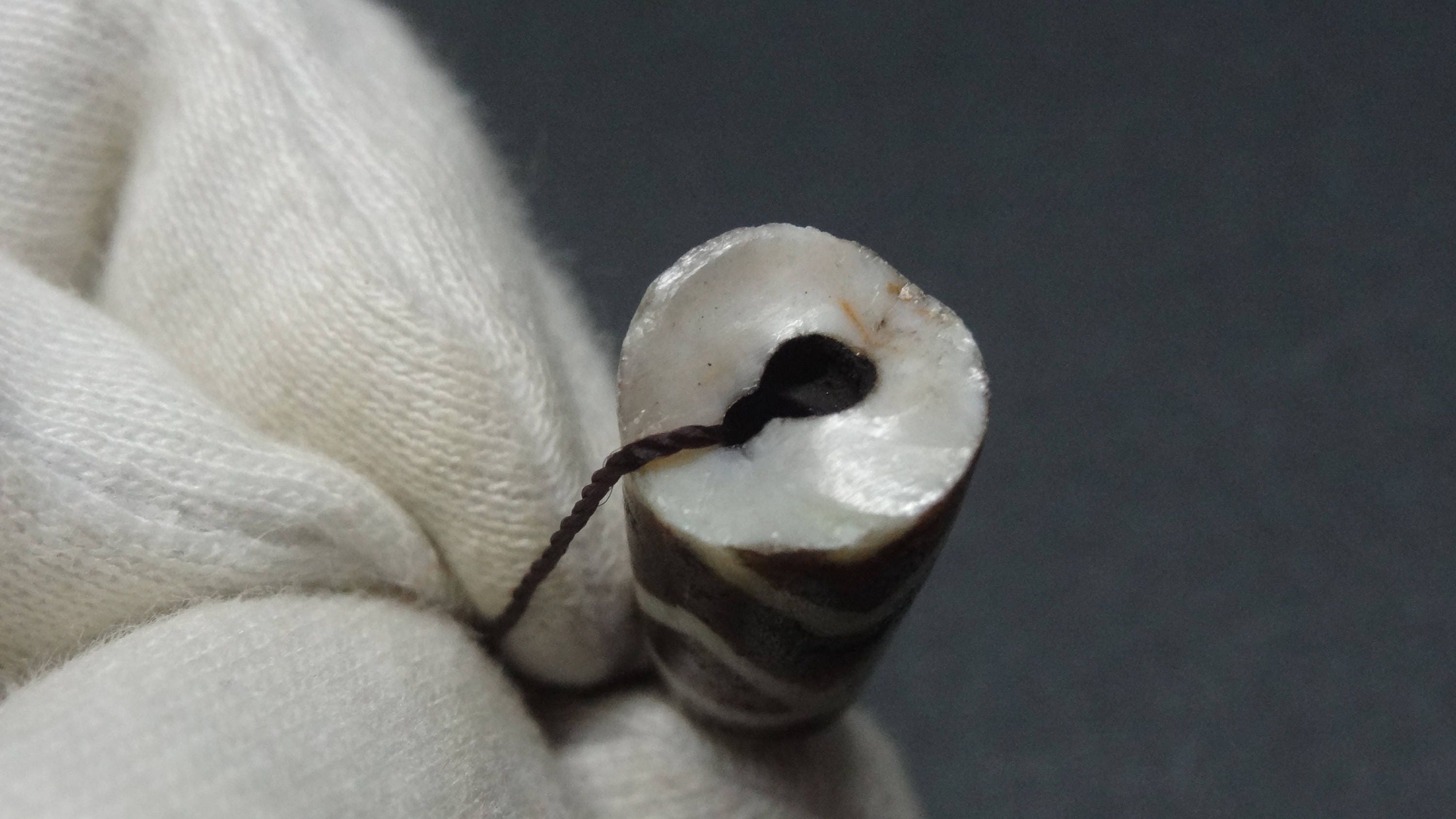 PB006 Pumtek Pyu Bead Tube Two 2 Striped Tiger Tooth | Etsy