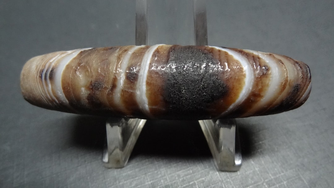 1803-190 - Authentic Tibetan Dzi Bead - Huge Natural Stripe / Banded ...