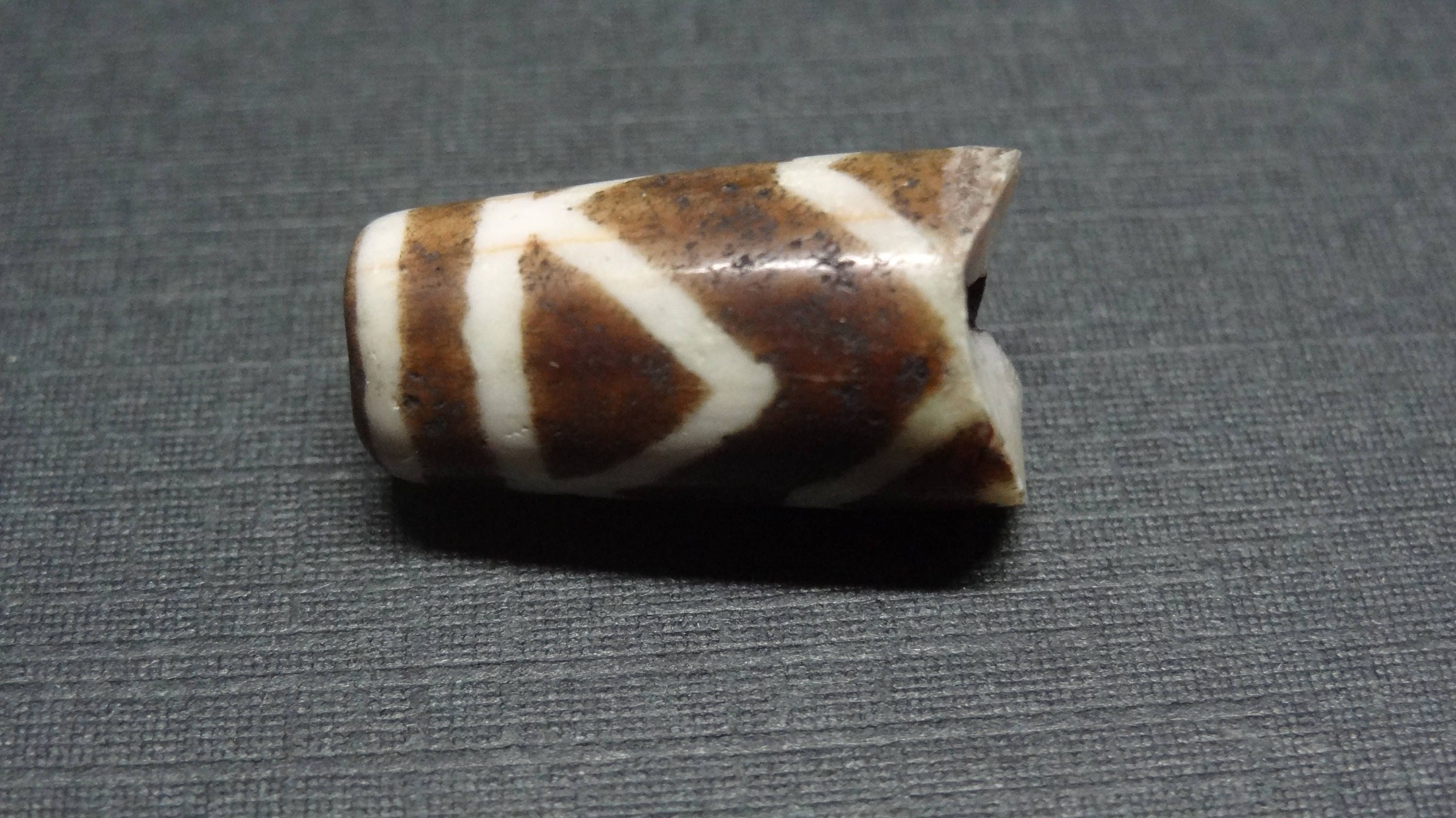 PB006 Pumtek Pyu Bead Tube Two 2 Striped Tiger Tooth | Etsy