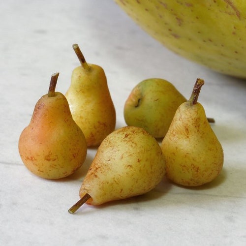 Miniature Pears for a Dollhouse 1/12 and 1/6 Scale Realistic - Etsy