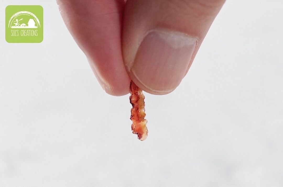 5x Miniature Crispy Bacon Strips - Scale 1:12 - Etsy