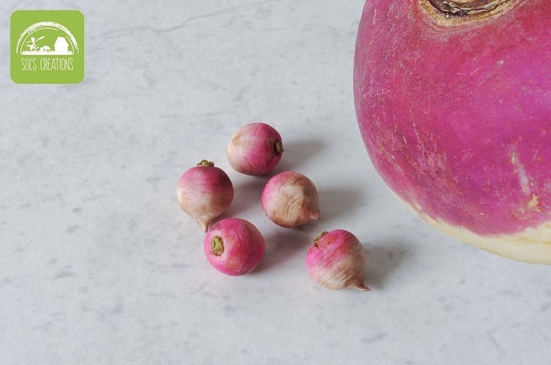 5x Miniature Dollhouse Turnips - Scale 1:12 - Etsy