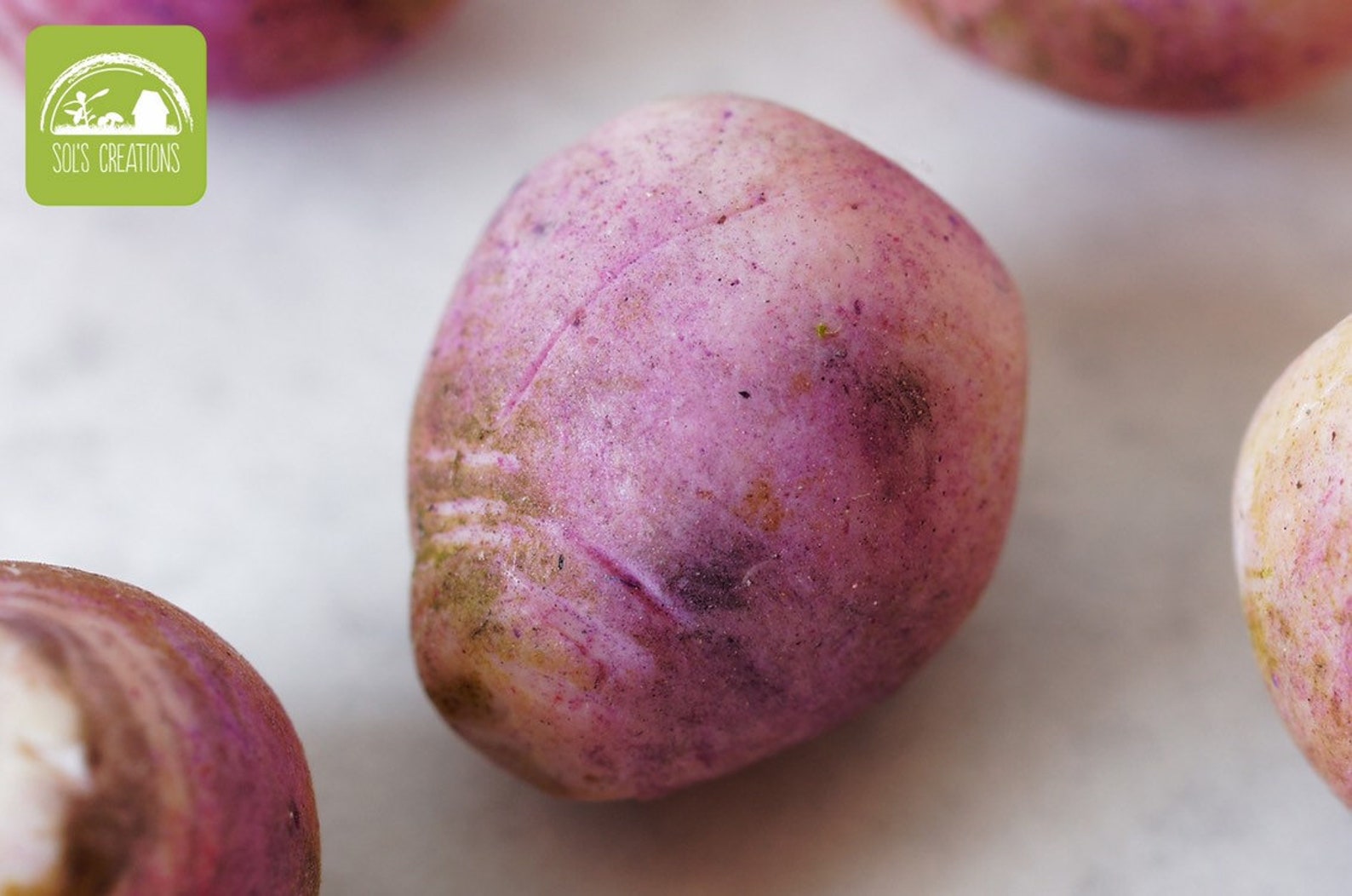 5x Miniature Dollhouse Turnips Scale 1:12 - Etsy