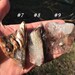 Large Amphibole Quartz ~ Angel Phantom Quartz ~ Tumbled Stones - Etsy