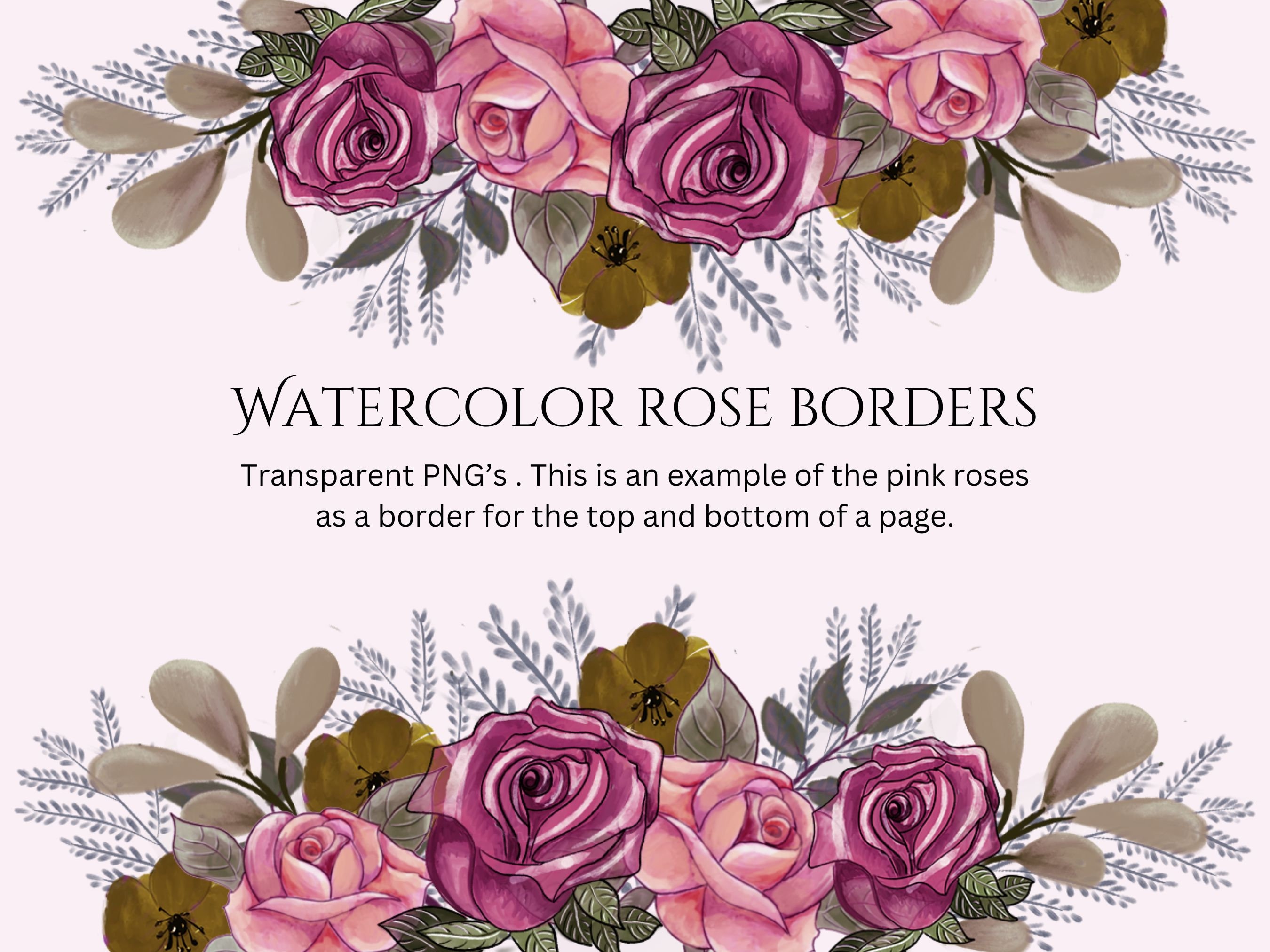 Pink Rose Flower Border Design. Instant Download. Digital Watercolor ...