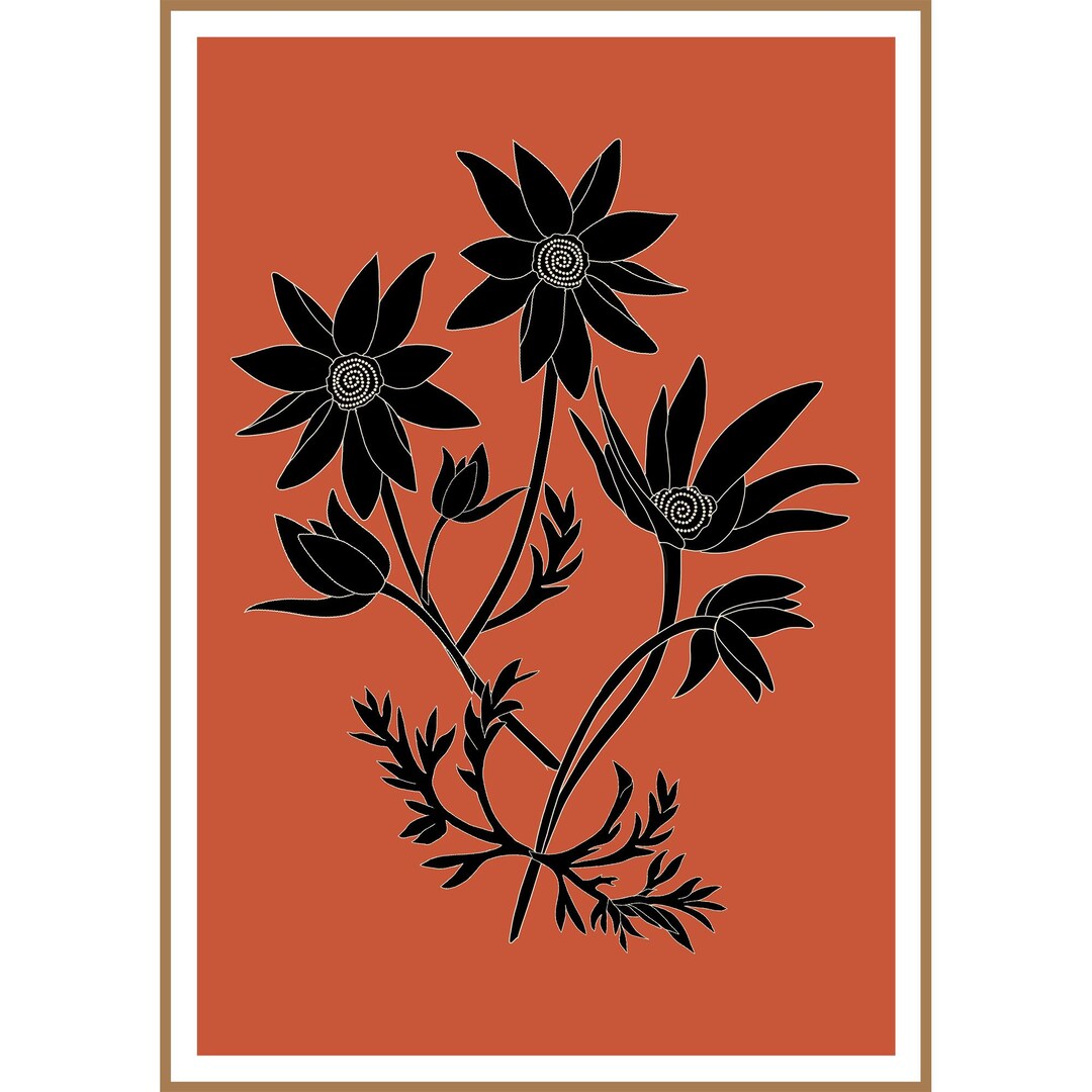 Australian Native Flower | Flannel Flower | Stylised Orange and Black ...