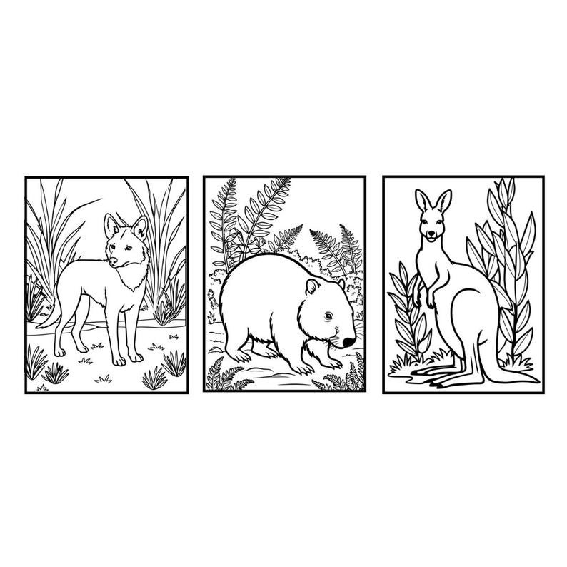 Digital Download | Coloring Pages for Toddlers | Australian Wildlife ...