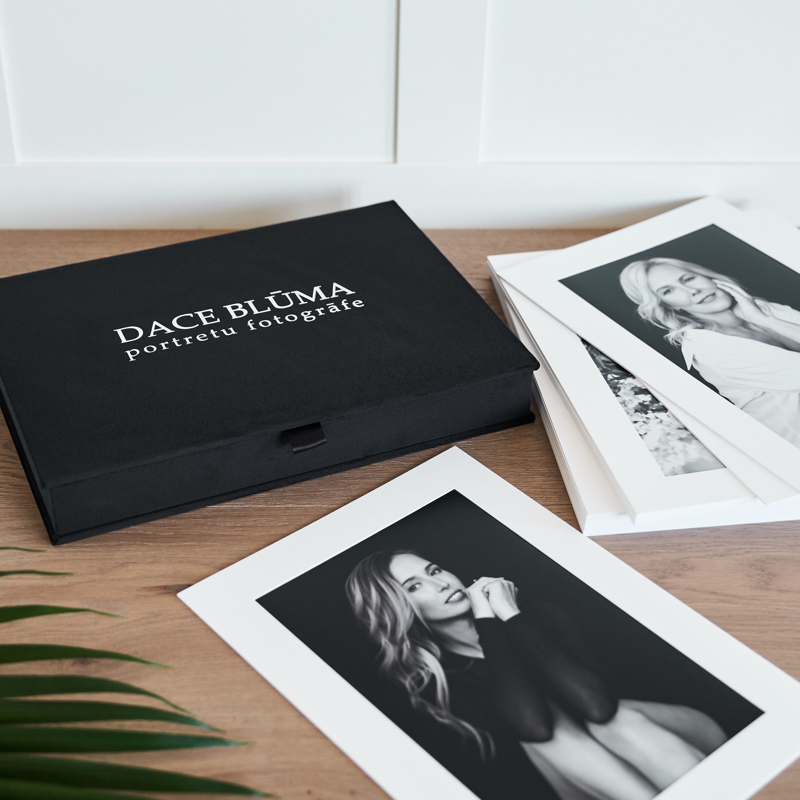 Luxury Folio Box With 20 Acid Free Slip-in Matts, A Set of 20 Matted ...