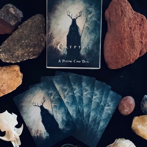 Cryptic - Classic 52-card Poker Playing Deck Featuring Dark Cloaked ...