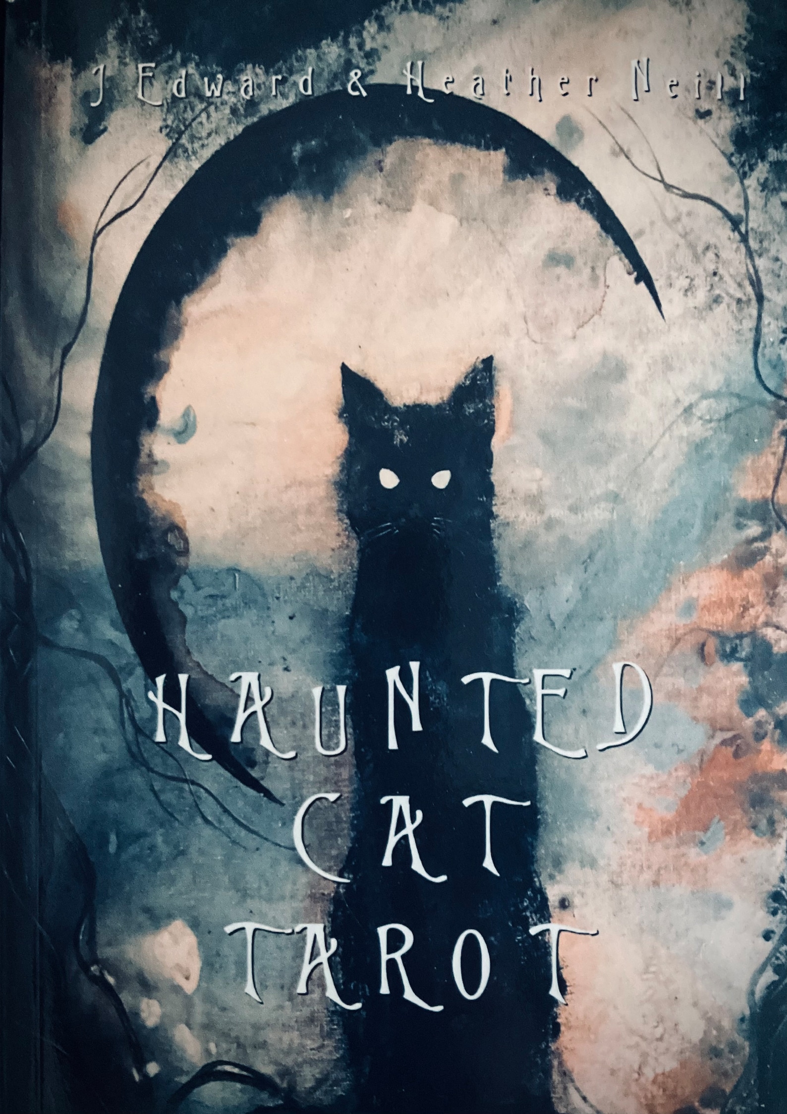 The Haunted Cat Tarot Deck 78 Card Tarot Deck Featuring Original ...