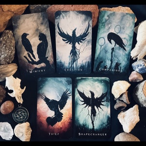 The Cat & Raven Deck Bundle - One Wisdom of the Raven Oracle Deck and ...