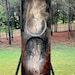 Soul Reflection - Printable Art - Light and Dark Trees Spring From ...