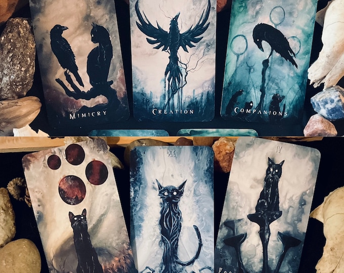 The Cat & Raven Deck Bundle - One Wisdom of the Raven Oracle Deck and ...