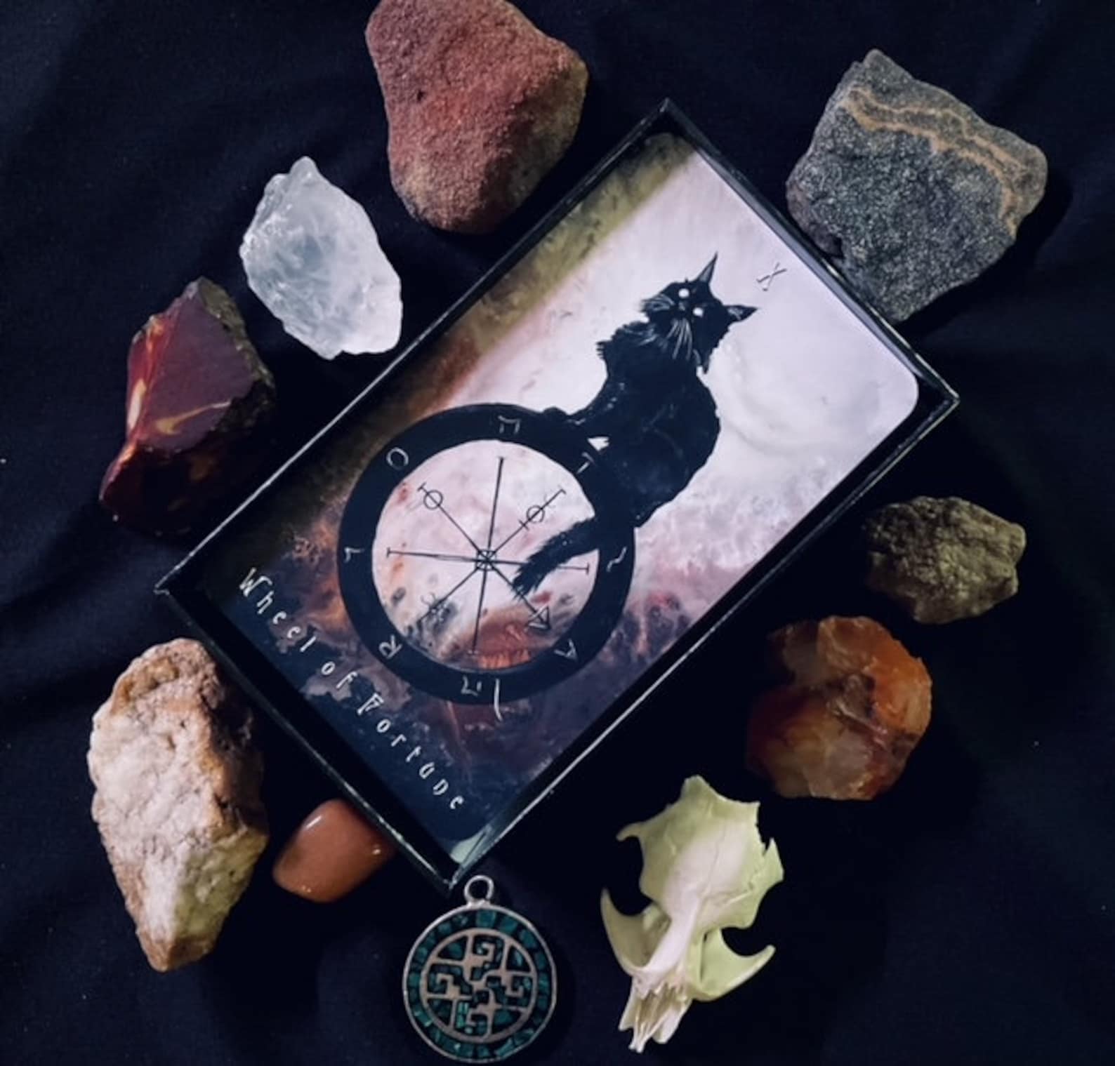 The Cat & Raven Deck Bundle - One Wisdom of the Raven Oracle Deck and ...
