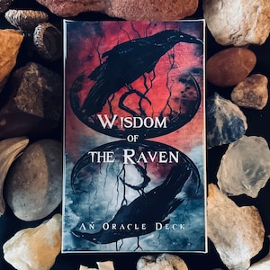 The Cat & Raven Deck Bundle - Oracle and Haunted Feline Tarot by J ...