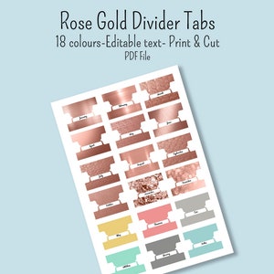 18 Rose Gold Patterned Dividers Tabs Printable and Editable US A4 A5 ...