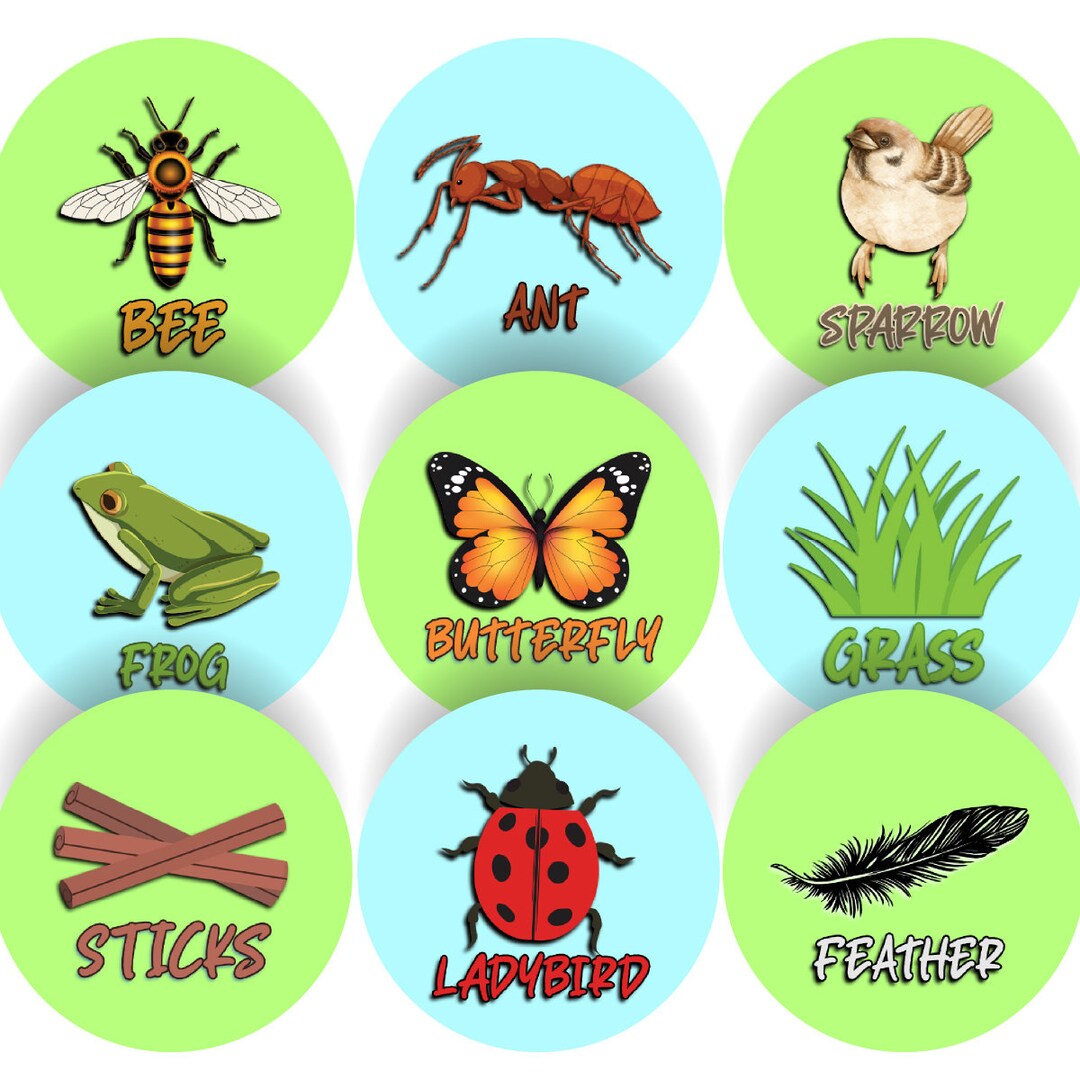 144 Outdoor Scavenger Adventure Camping Stickers - 30mm - Glossy Reward ...