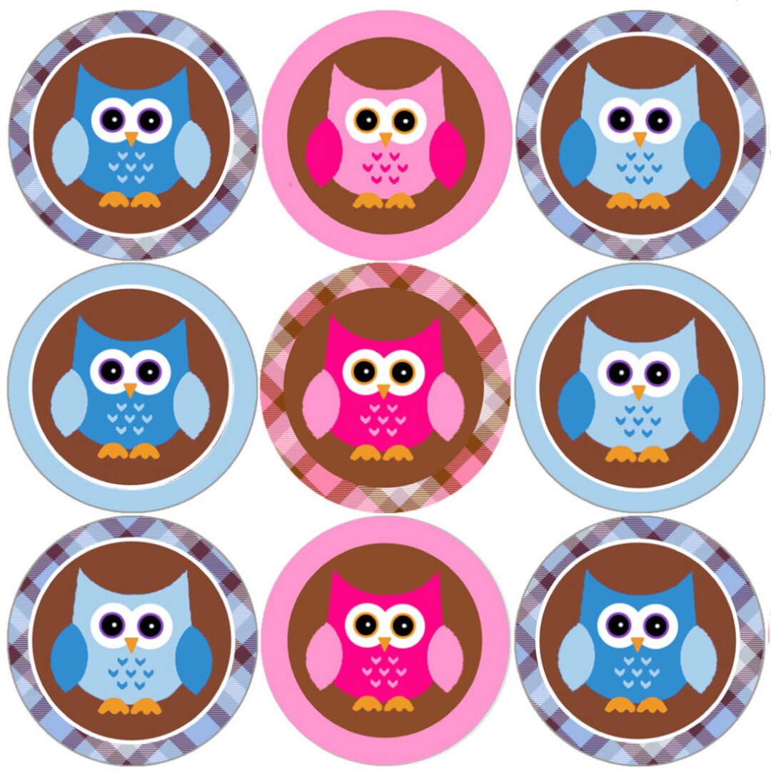 144 Pink and Blue Owl 30mm Children's Reward Stickers for - Etsy