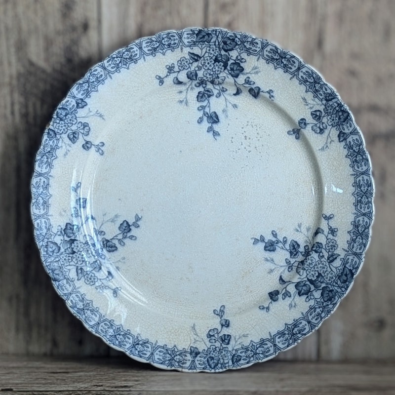 Antique Blue Plates - Etsy