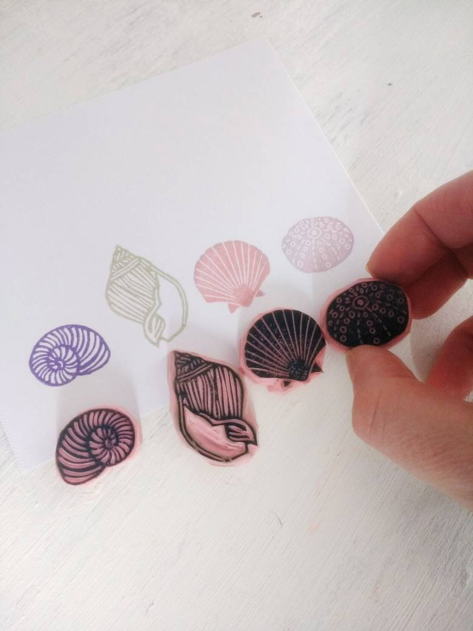 Sea Shells Rubber Stamp Set Sea Urchin Stamp Sand Dollar - Etsy Australia