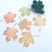 Maple Leaf Rubber Stamp. - Etsy