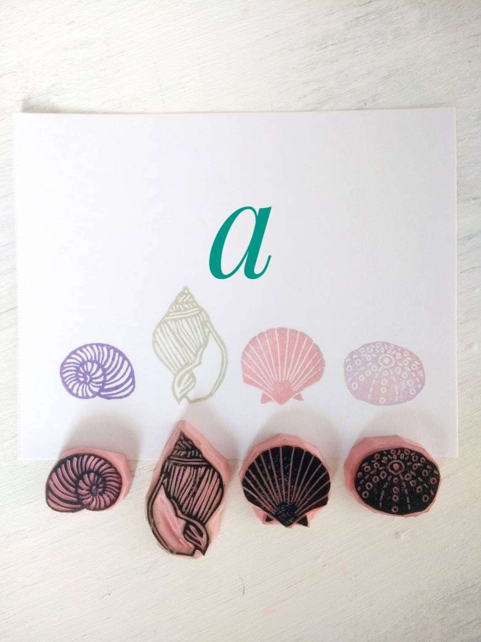 Sea shells rubber stamp set sea urchin stamp sand dollar | Etsy
