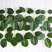 10 Rose Leaves Flower Leaves Fake Greenery Faux Leaves Artificial ...