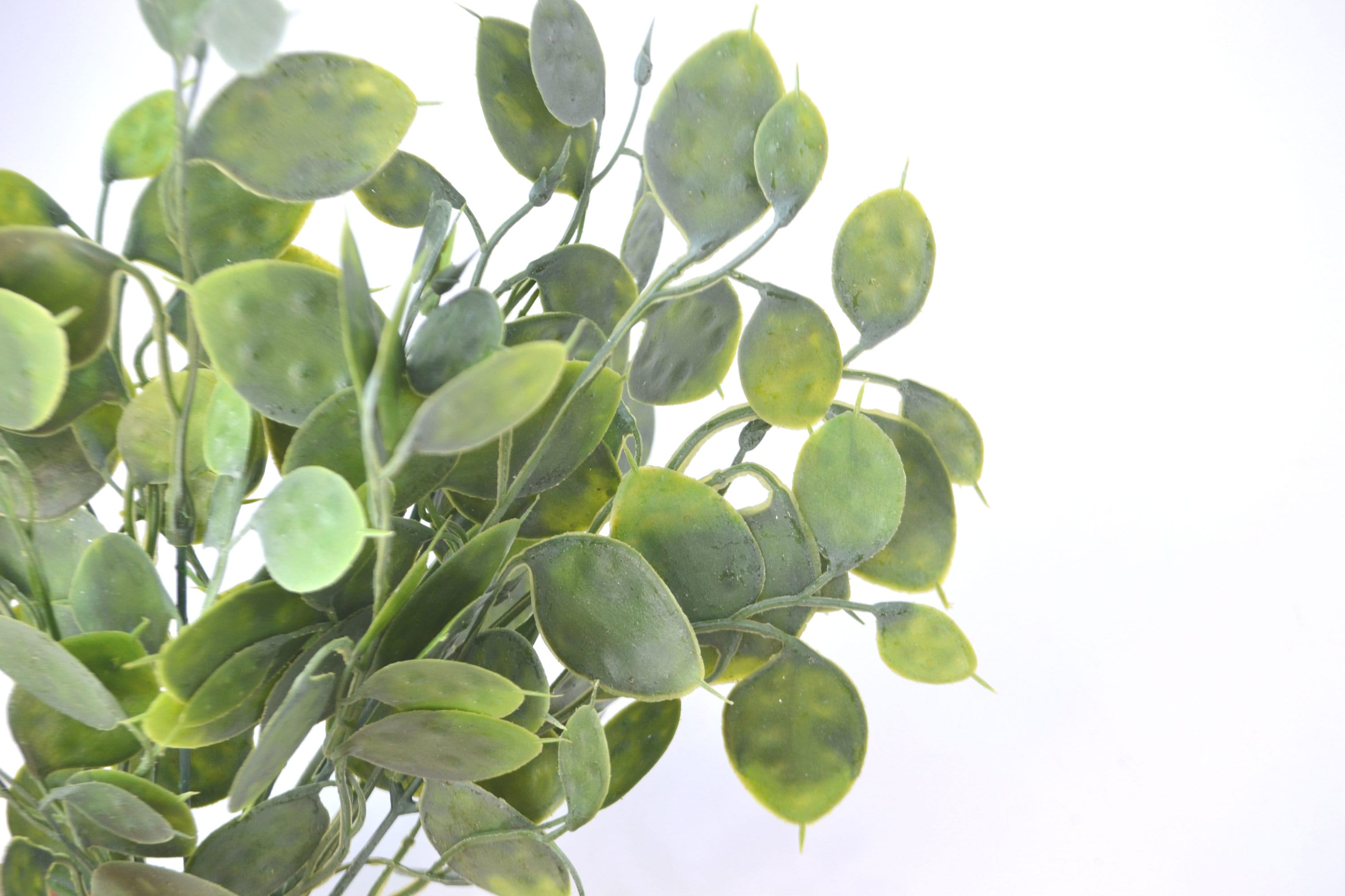 5 Artificial greenery Leaves stems Faux greenery stems Fake | Etsy