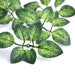 Artificial Leaves 10 Branches Mini Leaf Rose Leaves Fake - Etsy