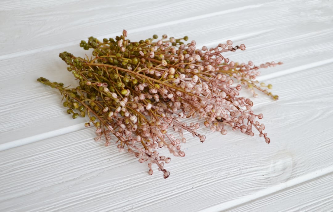 15 Pink Khaki Floral Filler Tiny Berries Floral Arrangement Berry ...
