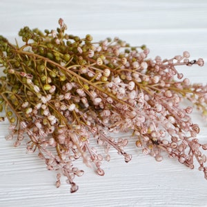 15 Pink Khaki Floral Filler Tiny Berries Floral Arrangement Berry ...
