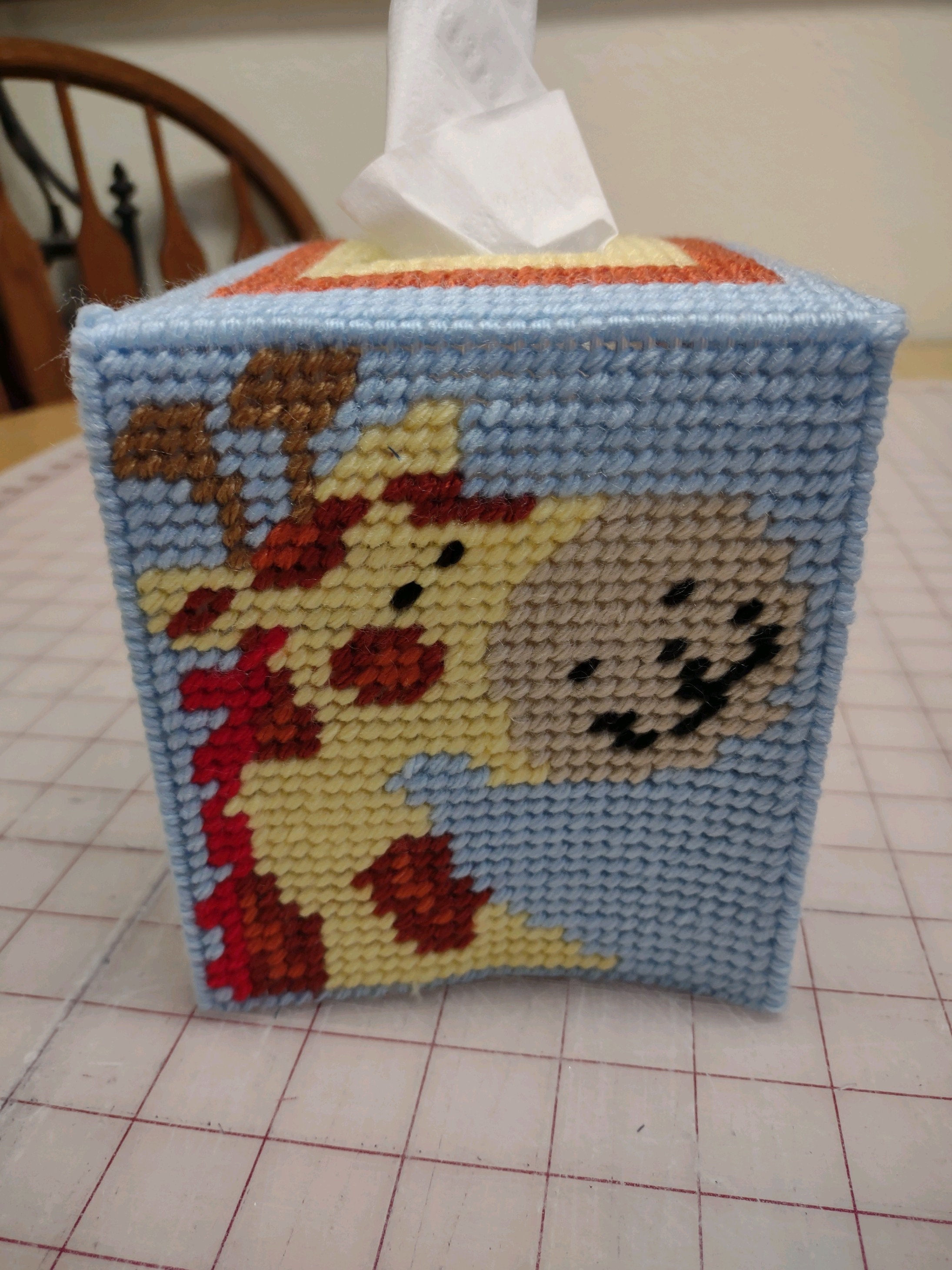 Noah's Friends Tissue Cover PCK50 - Etsy