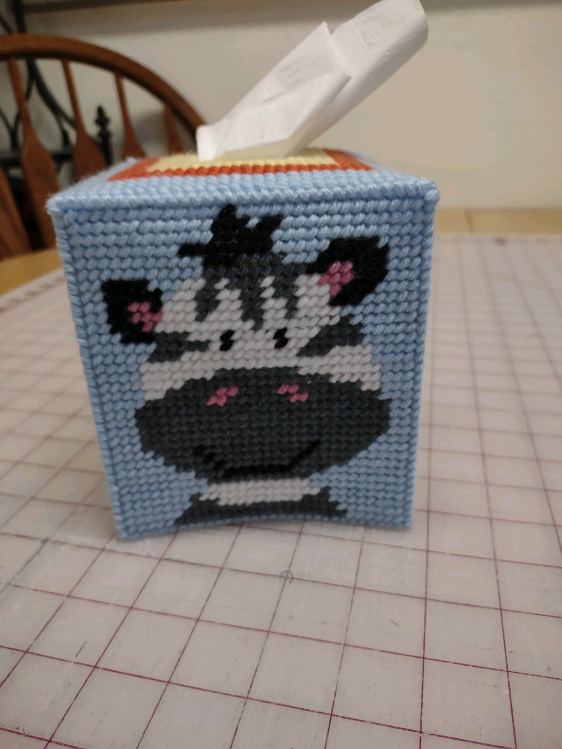 Noah's Friends Tissue Cover PCK50 - Etsy