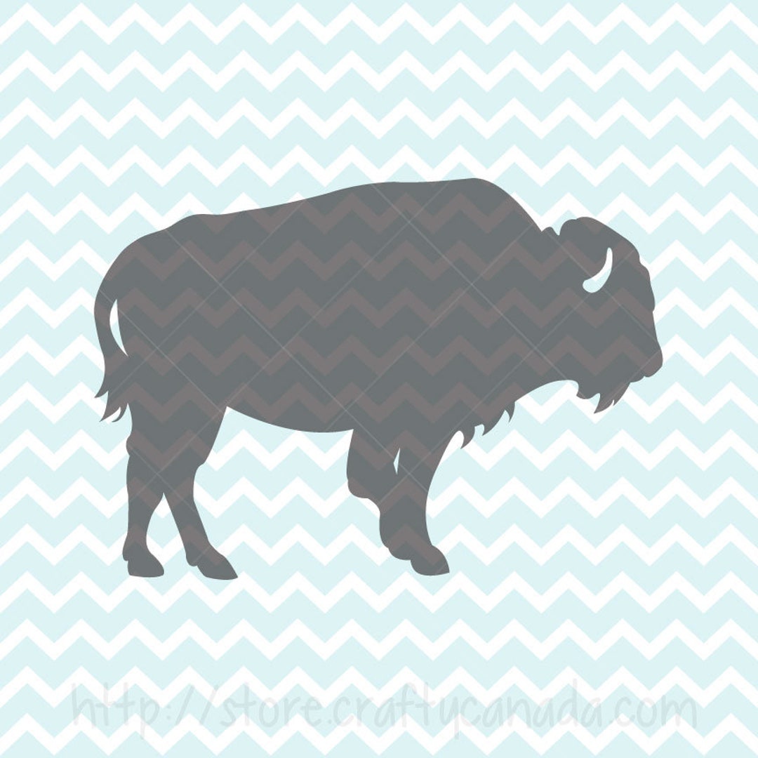 Buffalo SVG and PNG, Buffalo Clipart, Bison Svg, Animal Svg, Alimal ...