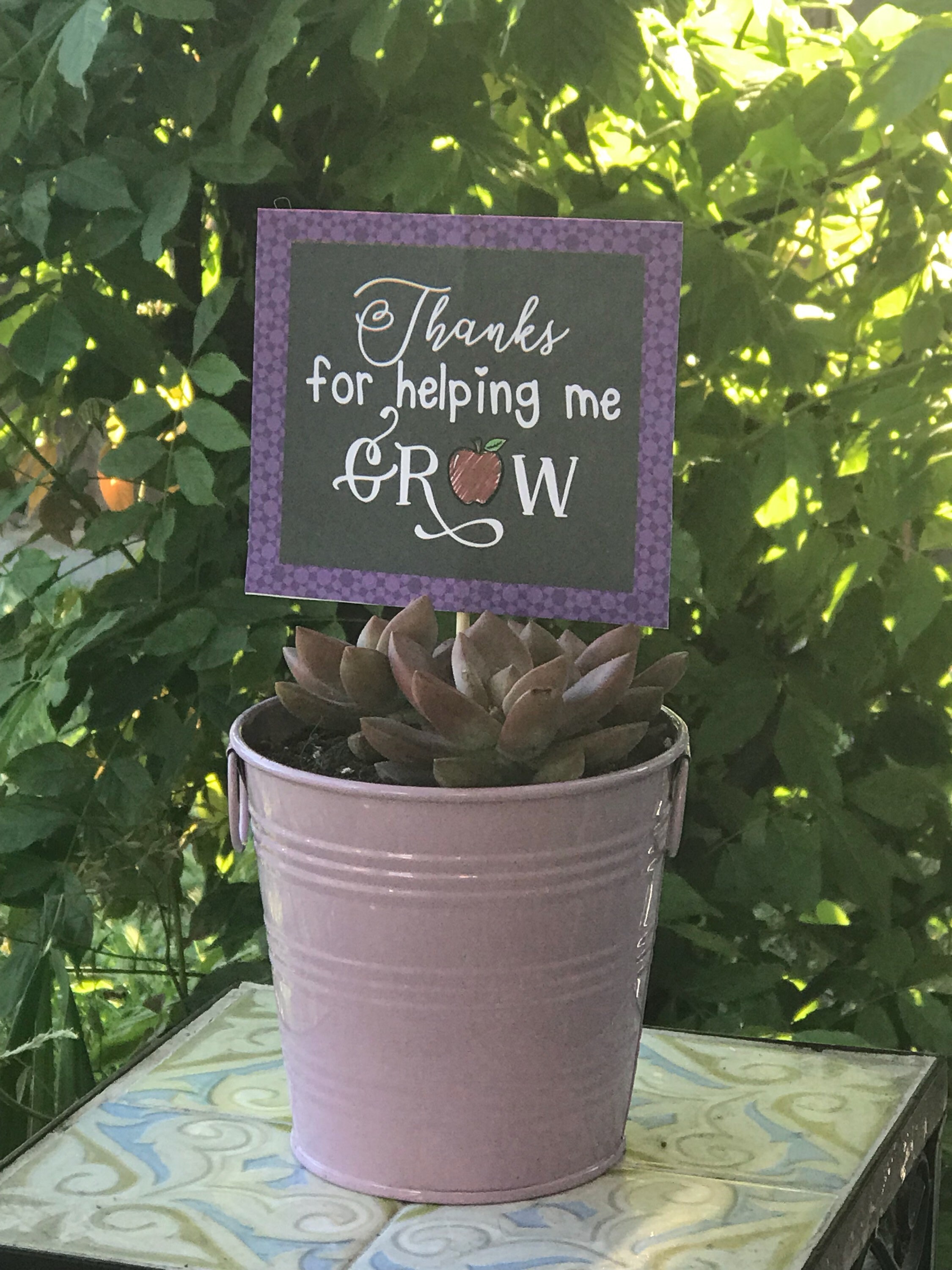 Thanks for Helping Me Grow Teacher Appreciation Gift Tag | Etsy