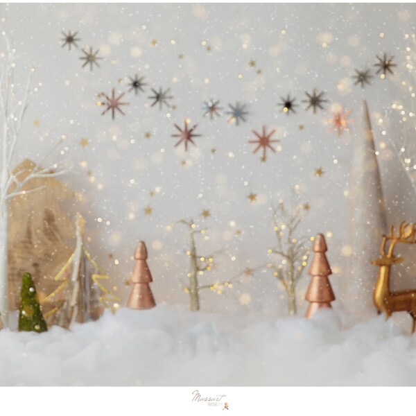 Winter Digital Backdrop - Etsy