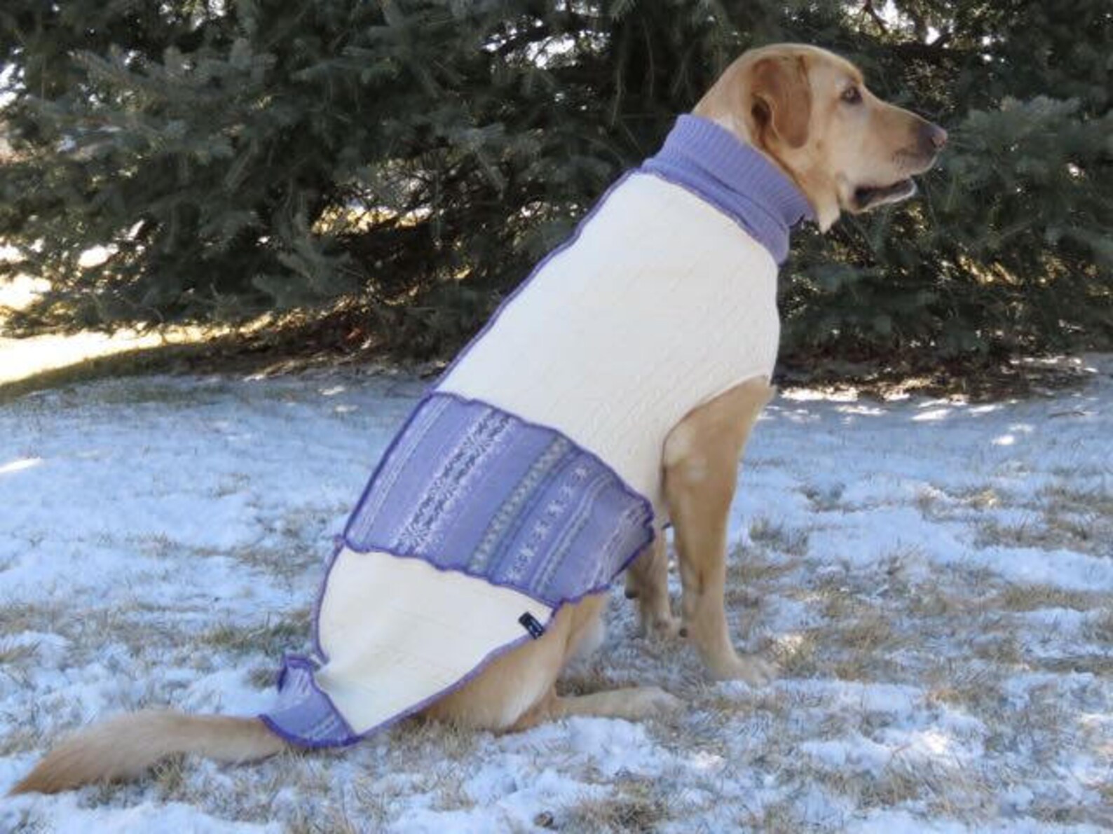 Blue Lavender Cashmere Dog Sweater Large Dog Shirt FITS | Etsy