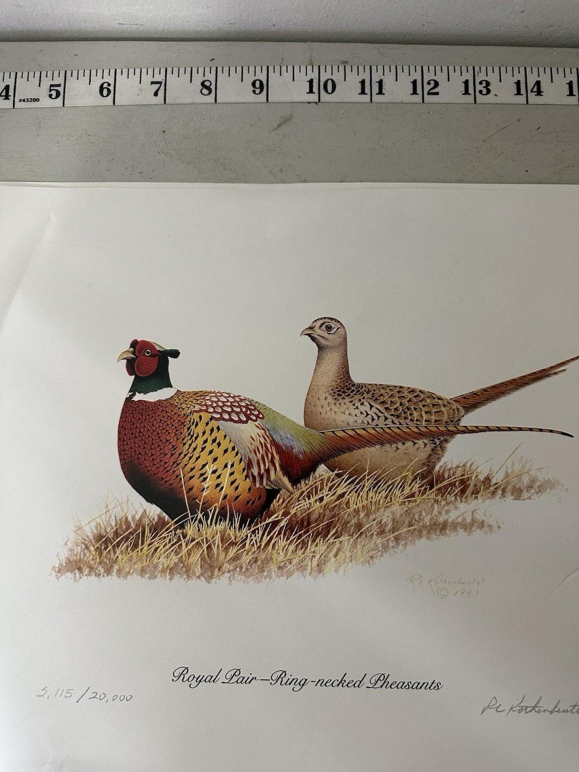 Vintage Royal Pair Ring Neck Pheasants by RL Korhenbuetel Numbered ...
