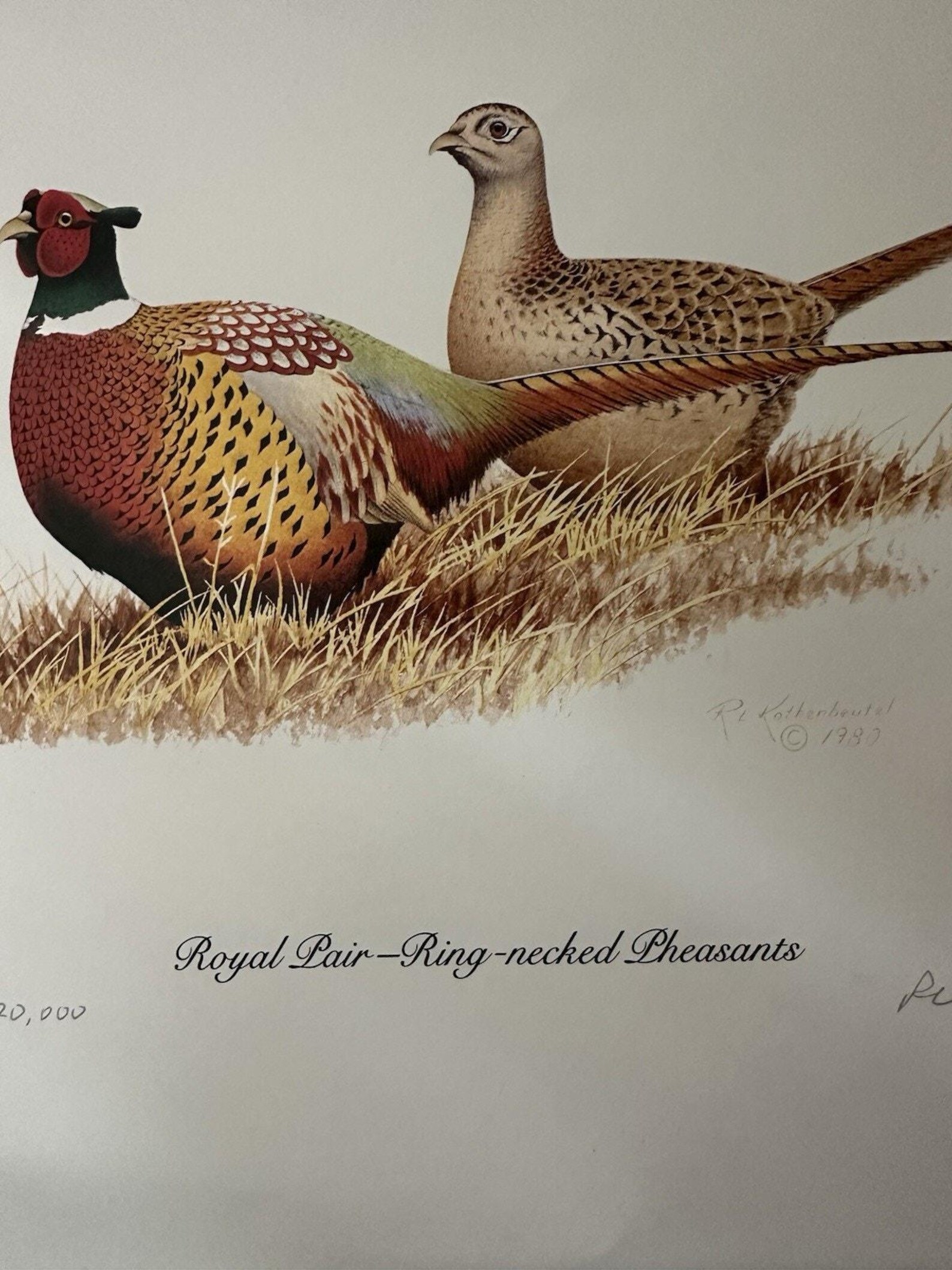 Vintage Royal Pair Ring Neck Pheasants by RL Korhenbuetel Numbered ...
