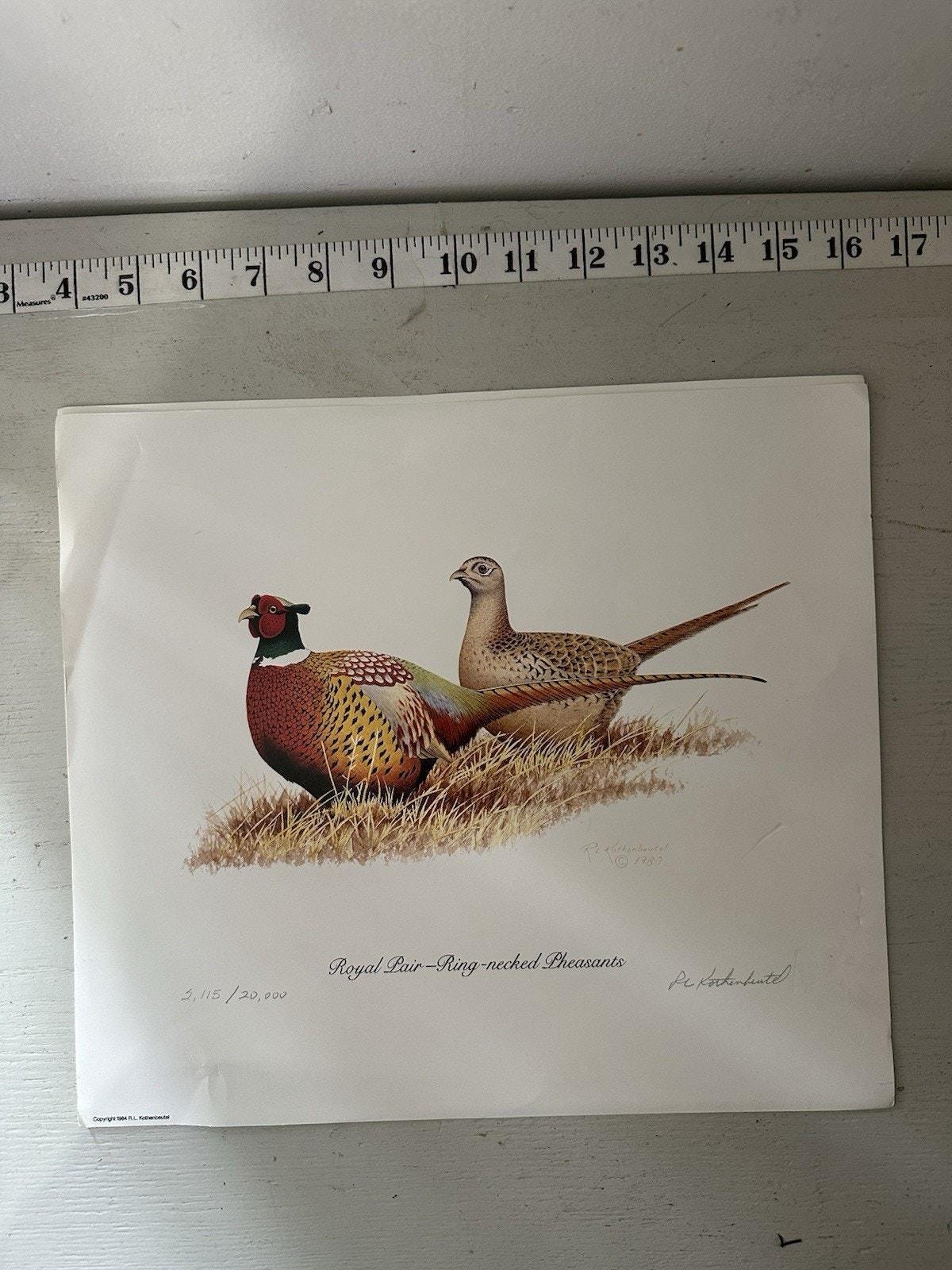 Vintage Royal Pair Ring Neck Pheasants by RL Korhenbuetel Numbered ...
