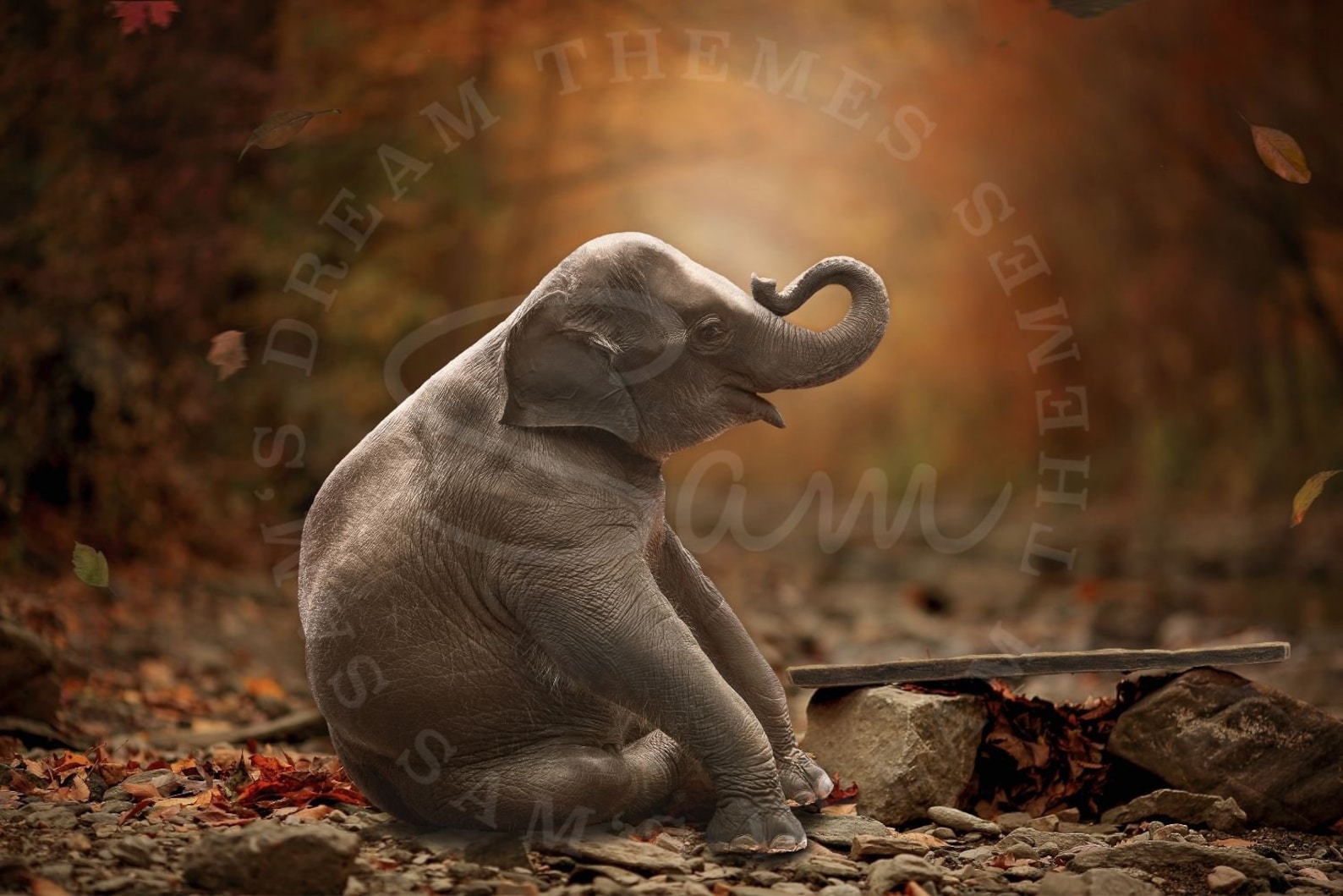 Autumn Baby Elephant Digital Backdrop - Etsy Canada