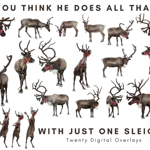 Reindeer Digital - Etsy