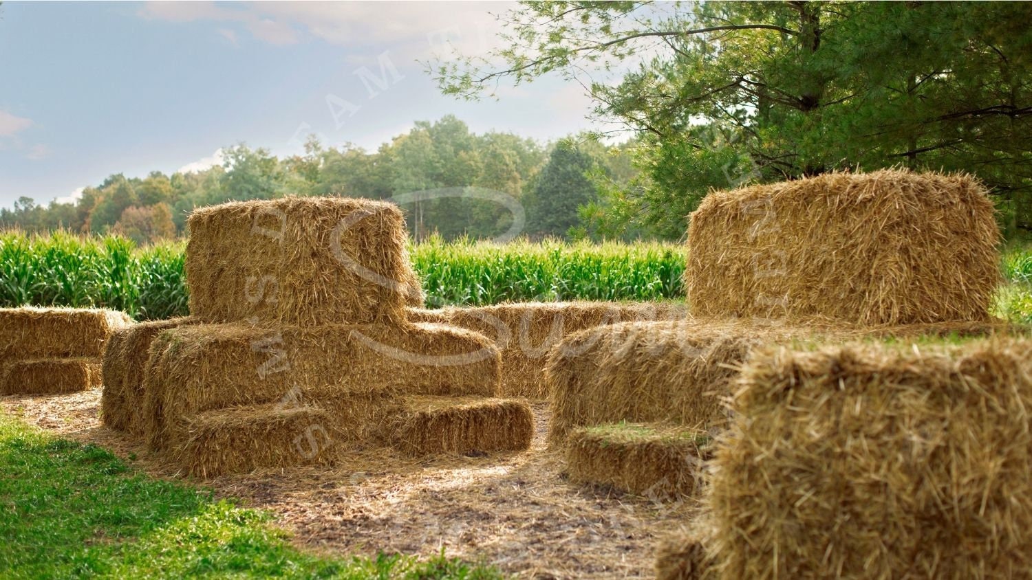 6 Corn Field and Farm Digital Backdrops Bundle - Etsy